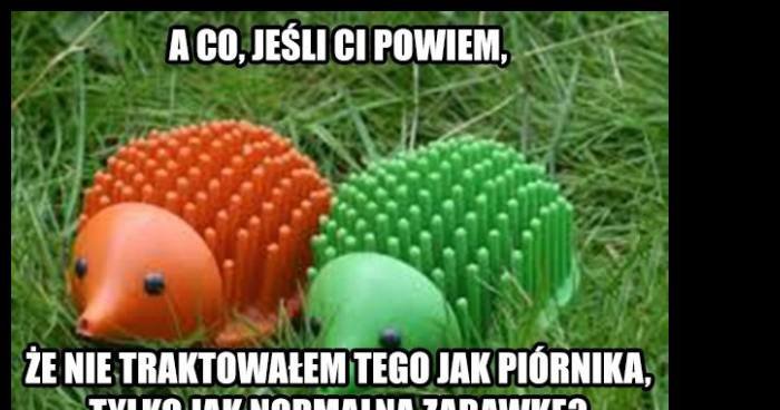 Ty chory pojebie memy, gify i śmieszne obrazki facebook, tapety ...