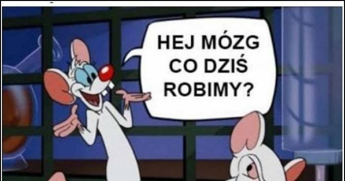 Hej mózg co dziś robimy ? to co zawsze pinky memy, gify i śmieszne ...