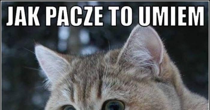 Jak pacze to umiem - jak nie pacze to nie umiem memy, gify i śmieszne ...