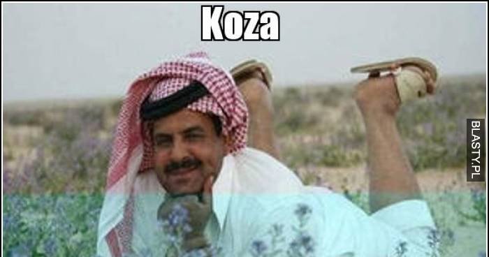 Koza też człowiek memy, gify i śmieszne obrazki facebook, tapety ...