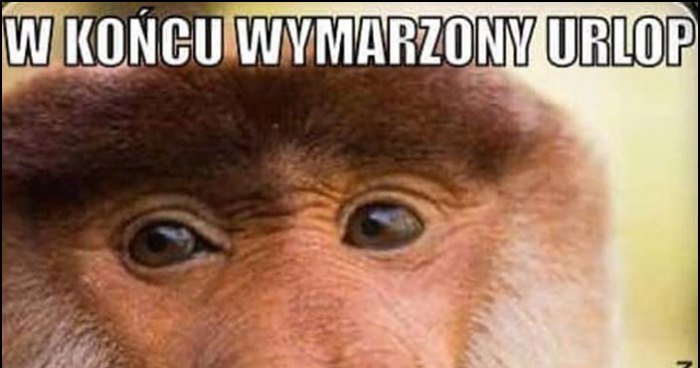 W końcu wymarzony urlop, szpachla jest, farba jest, wszystko jest ...