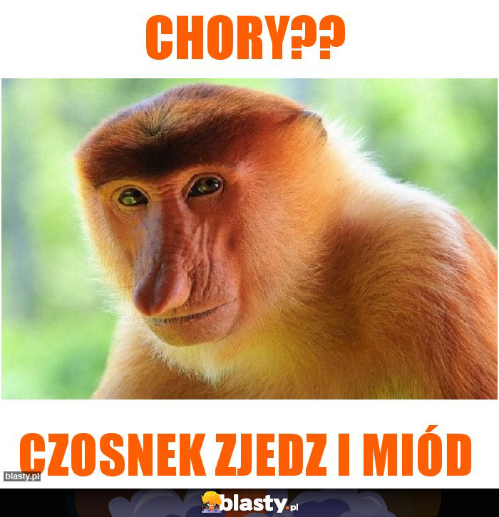 Chory?? memy, gify i śmieszne obrazki facebook, tapety, demotywatory ...