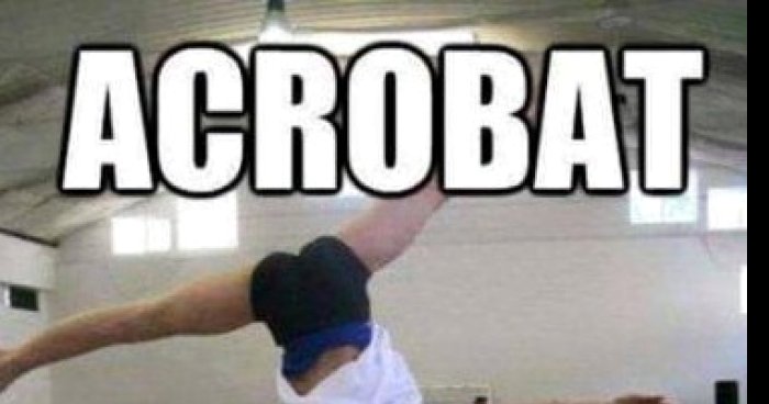 Acrobat reader memy, gify i śmieszne obrazki facebook, tapety ...