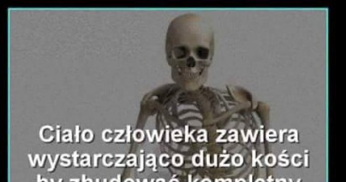 Ciało człowieka anatomia memy, gify i śmieszne obrazki facebook, tapety ...