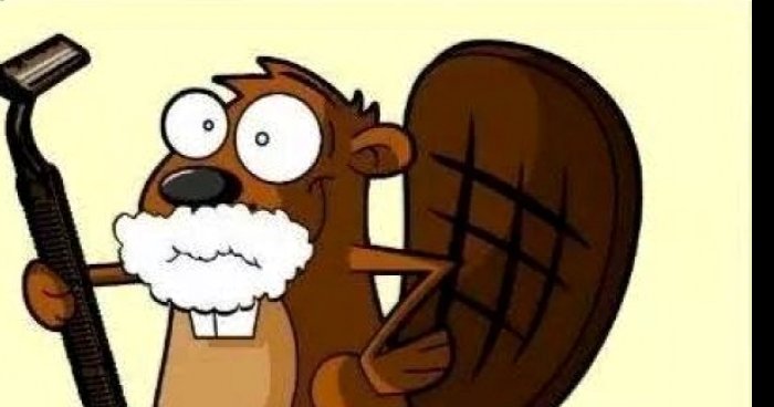 Dobra, dzisiaj golimy bobra memy, gify i śmieszne obrazki facebook ...