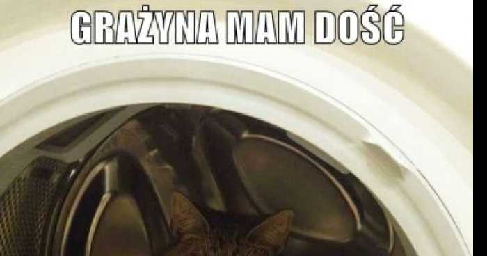 Grażyna mam dość zamknij właz lece w kosmos memy, gify i śmieszne ...