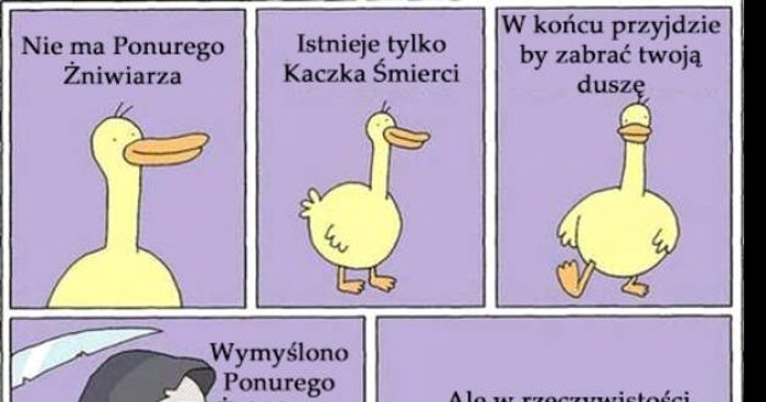 Kaczka śmierci memy, gify i śmieszne obrazki facebook, tapety ...