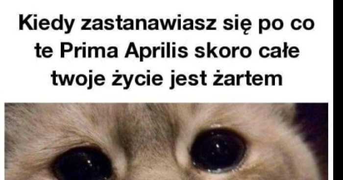 Kiedy zastanawiasz się, po co ten cały prima aprilis memy, gify i ...