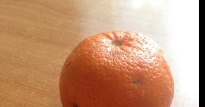 Nawet mandarynka ma więcej motywacji ode mnie. memy, gify i śmieszne ...