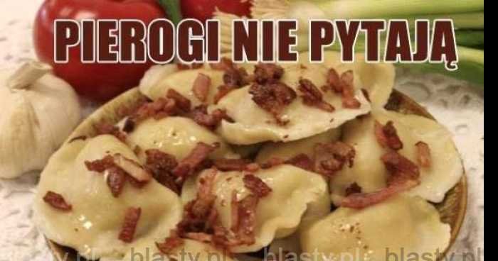 Pierogi nie pytają memy, gify i śmieszne obrazki facebook, tapety ...