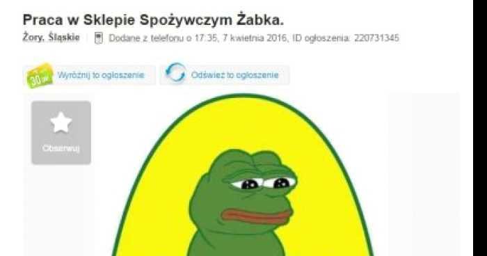 Smutna żabka memy, gify i śmieszne obrazki facebook, tapety ...