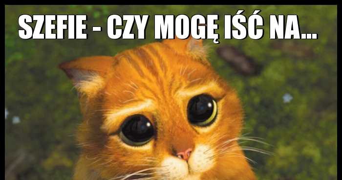 Kiedy pytasz szefa o urlop memy, gify i śmieszne obrazki facebook ...