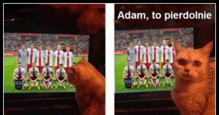 Adam to pierdolnie memy, gify i śmieszne obrazki facebook, tapety ...