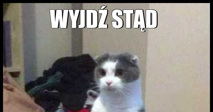 Grażynka wyjdź stąd memy, gify i śmieszne obrazki facebook, tapety ...