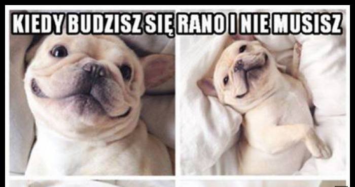 Kiedy budzisz się rano i nie musisz nigdzie iść bo jest sobota memy ...