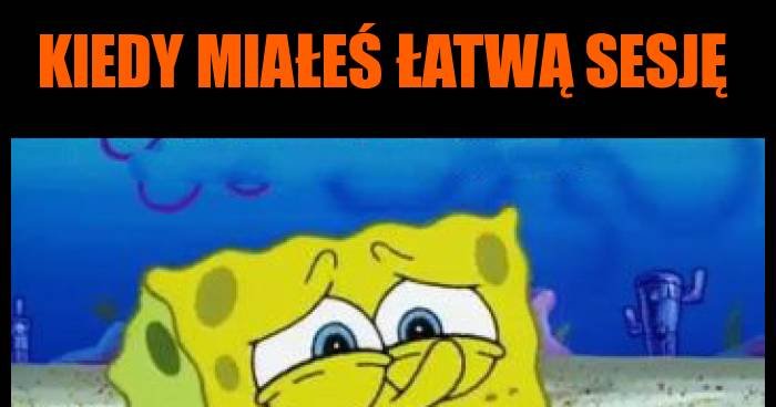 Kiedy miałeś łatwą sesję i tylko ty nie zdałeś memy, gify i śmieszne ...
