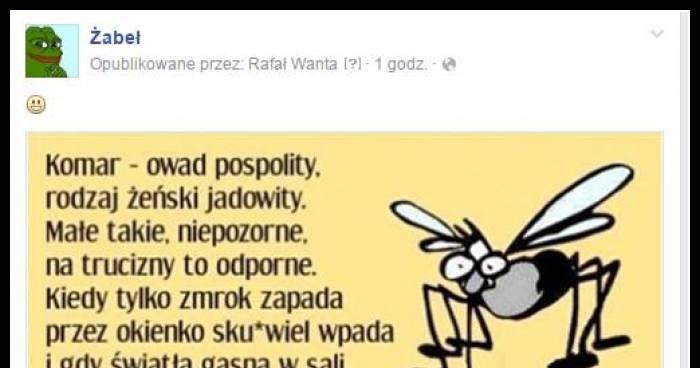 Komar owad pospolity memy, gify i śmieszne obrazki facebook, tapety ...
