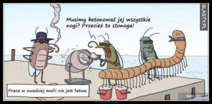 Musimy zabetonować jej wszystkie nogi, przecież to stonoga memy, gify i ...