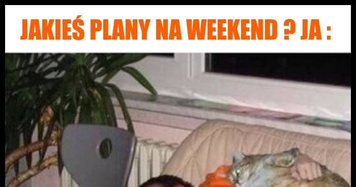 Jakieś plany na weekend ? Ja memy, gify i śmieszne obrazki facebook ...