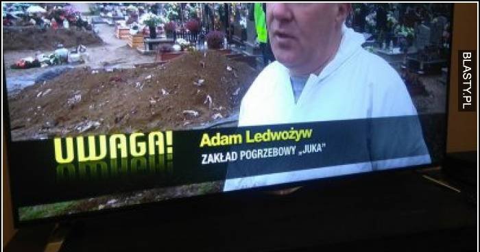 Adam Ledwożyw memy, gify i śmieszne obrazki facebook, tapety ...