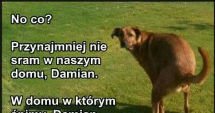 No co ? Przynajmniej nie sram w naszym domu damian w domu w którym ...