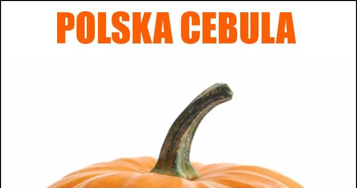 Polska cebula memy, gify i śmieszne obrazki facebook, tapety ...