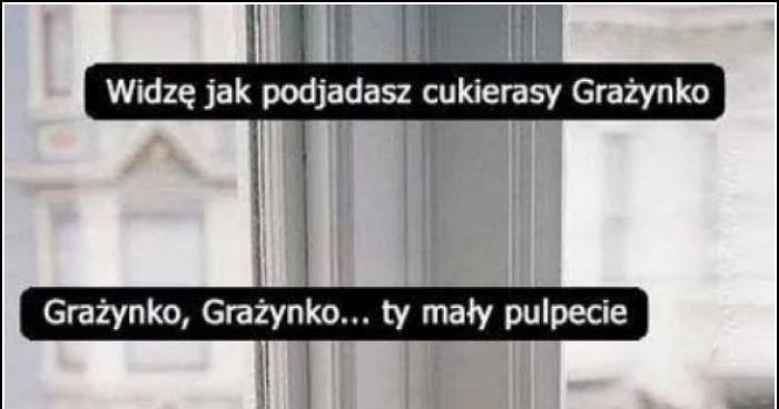Grażynko ty mały pulpecie memy, gify i śmieszne obrazki facebook ...