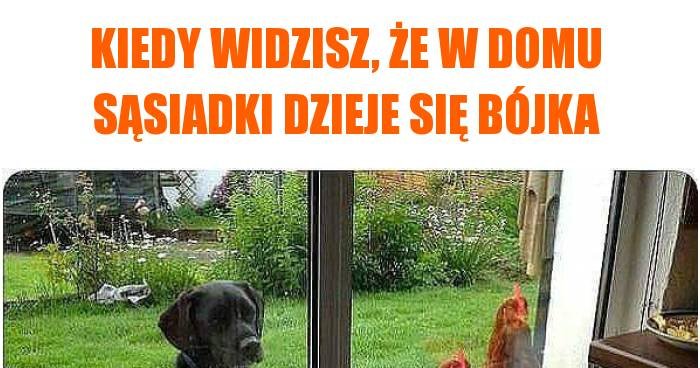 bójka w domu sąsiadki memy, gify i śmieszne obrazki facebook, tapety ...