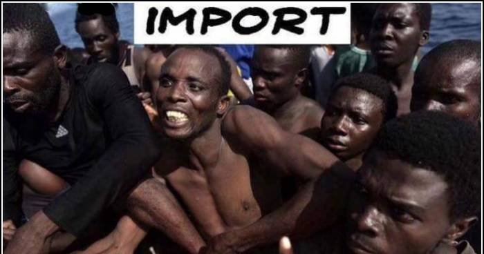 import exxport memy, gify i śmieszne obrazki facebook, tapety ...