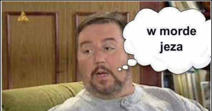 odwal się grubasie memy, gify i śmieszne obrazki facebook, tapety ...