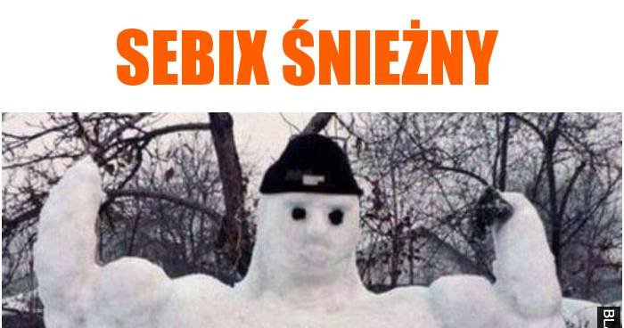 sebix ze śniegu memy, gify i śmieszne obrazki facebook, tapety ...
