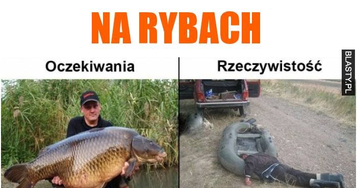 na rybach memy, gify i śmieszne obrazki facebook, tapety, demotywatory ...