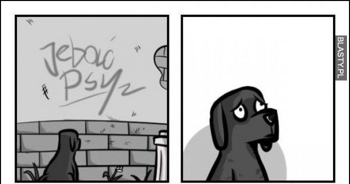 Jebać psy memy, gify i śmieszne obrazki facebook, tapety, demotywatory ...