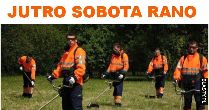 jutro sobota rano a w niedziele też przyjdziemy memy, gify i śmieszne ...