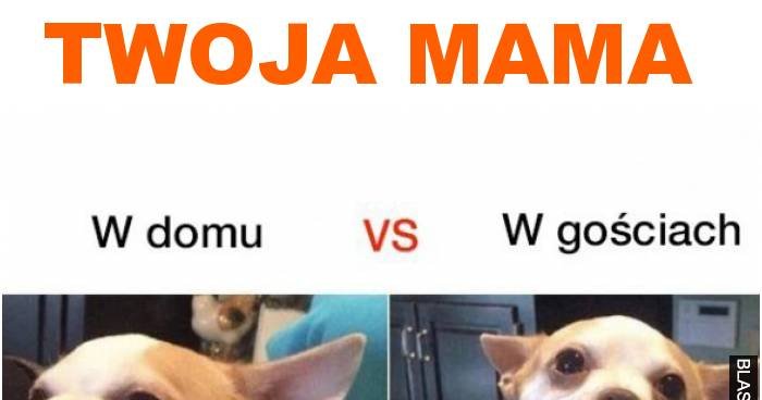 twoja mama memy, gify i śmieszne obrazki facebook, tapety, demotywatory ...
