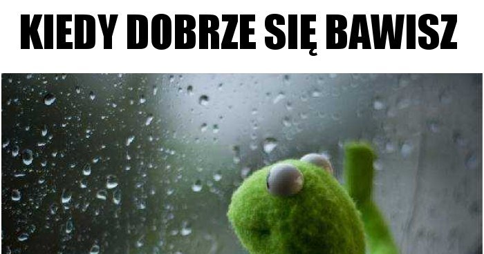Kermit memy, gify i śmieszne obrazki facebook, tapety, demotywatory zdjęcia