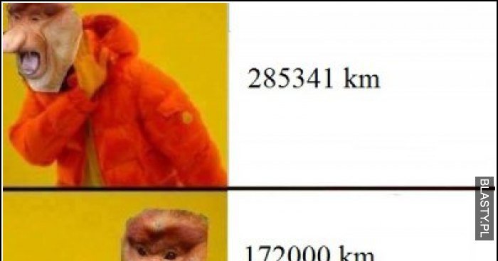 Motoryzacja memy, gify i śmieszne obrazki facebook, tapety ...