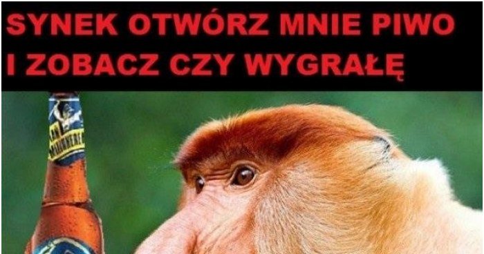 Synek otwórz mnie piwo i zobacz co wygrałem memy, gify i śmieszne ...