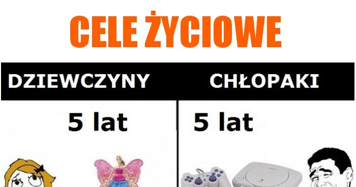 Cele życiowe memy, gify i śmieszne obrazki facebook, tapety ...