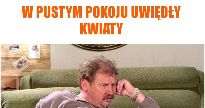 ferdek memy, gify i śmieszne obrazki facebook, tapety, demotywatory zdjęcia