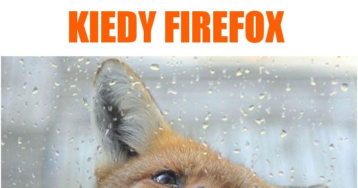 firefox memy, gify i śmieszne obrazki facebook, tapety, demotywatory ...