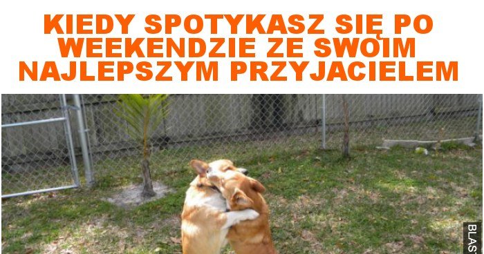 Kiedy spotykasz się po weekendzie ze swoim najlepszym przyjacielem memy ...