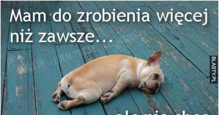 Nie chce mi się... memy, gify i śmieszne obrazki facebook, tapety ...
