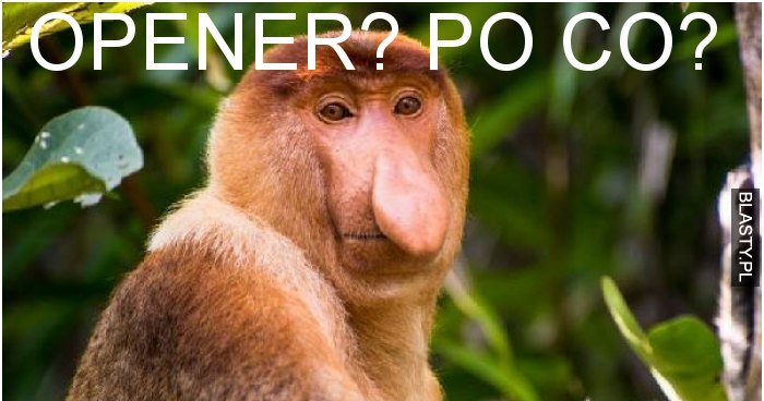 NOSACZ memy, gify i śmieszne obrazki facebook, tapety, demotywatory zdjęcia