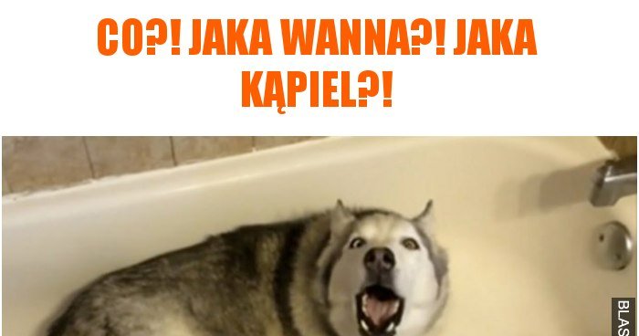 woda memy, gify i śmieszne obrazki facebook, tapety, demotywatory zdjęcia