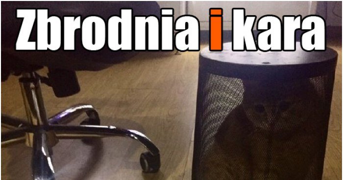 Zbrodnia i kara memy, gify i śmieszne obrazki facebook, tapety ...