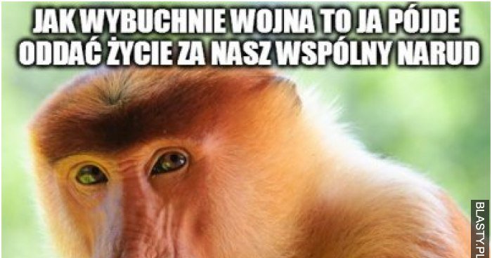 Jak wybuchnie wojna memy, gify i śmieszne obrazki facebook, tapety ...