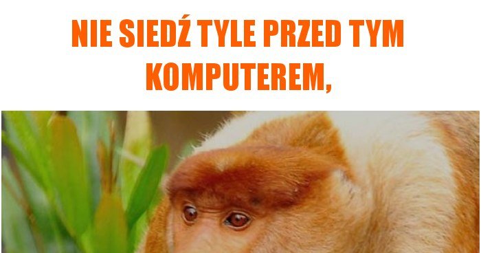 Komputer memy, gify i śmieszne obrazki facebook, tapety, demotywatory ...