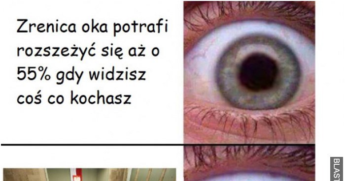 Miłość i chemia memy, gify i śmieszne obrazki facebook, tapety ...