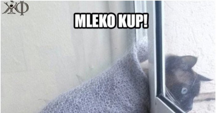 Mleko kup i nie zapomnij o memy, gify i śmieszne obrazki facebook ...